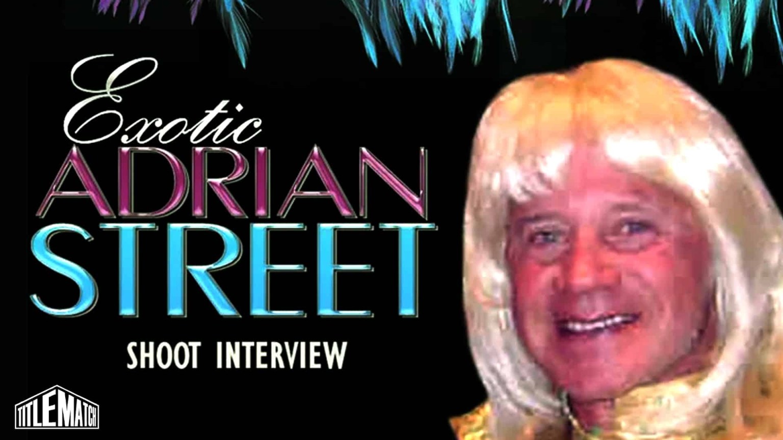 Shoot Interviews Results - Title Match Network